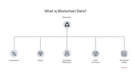 Low Latency Blockchain Data And Why Its Important