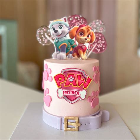 Skye Everest Paw Patrol Cake Afters Bakery