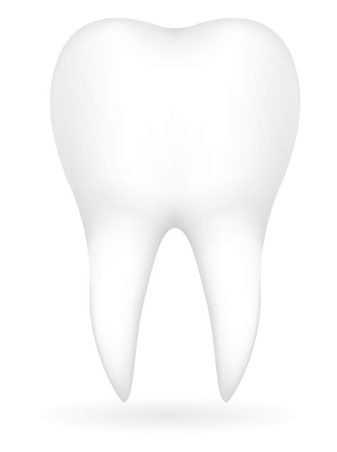 Tooth Vector Illustration 515509 Vector Art At Vecteezy