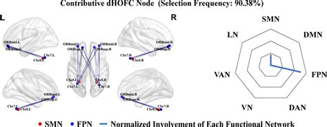 The Left Panel Shows Top One Discriminative Dynamics‐based High‐order Download Scientific
