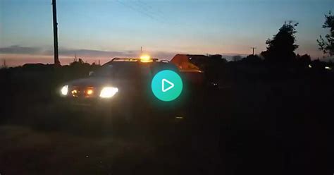 Early Morning Escort Album On Imgur