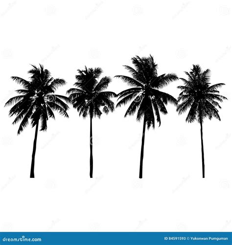 Ensemble De Palmiers De Noix De Coco De Silhouette Signe Naturel
