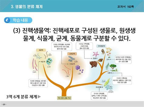 미래엔 엠티처
