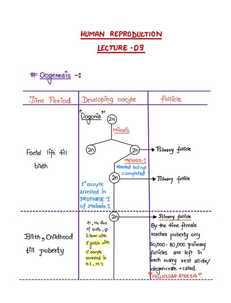 Solution Human Reproduction Handwritten Notes Studypool