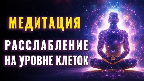 Глубокая Медитация Расслабление на Клеточном Уровне Релаксация в