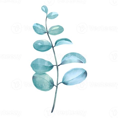Watercolor Blue Leaves Png