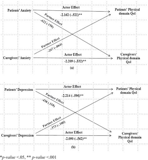 The Estimated Actor And Partner Effects And The Standardized Effect