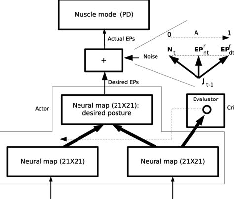 The Architecture Of The System Thin Arrows Represent Information