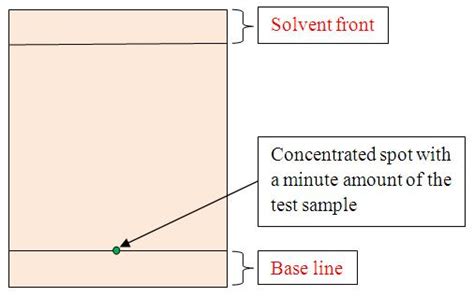 Procedure Of Paper Chromatography Science Of Chromatography