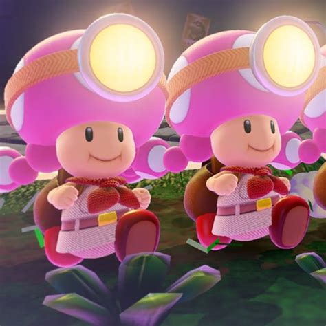 File CTTT Screenshot Double Toadette Super Mario Wiki The Mario