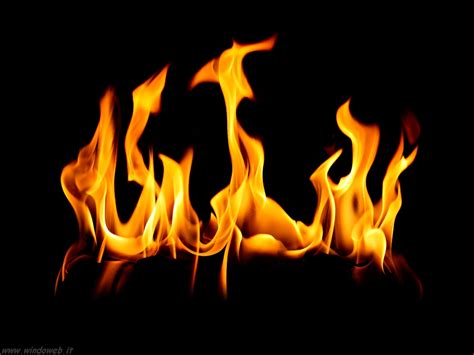 Le Cose Che Abbiamo Perso Nel Fuoco Uni Info News