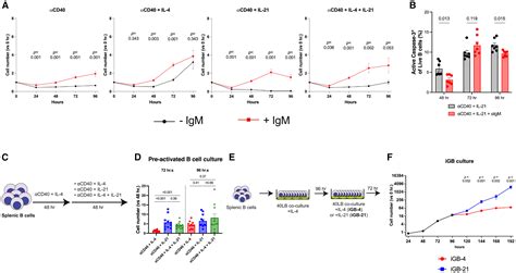 Il 21 Shapes The B Cell Response In A Context Dependent Manner Cell
