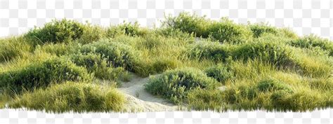 Download Free Png Of Png Hilly Rocky Grass Fields Vegetation Landscape