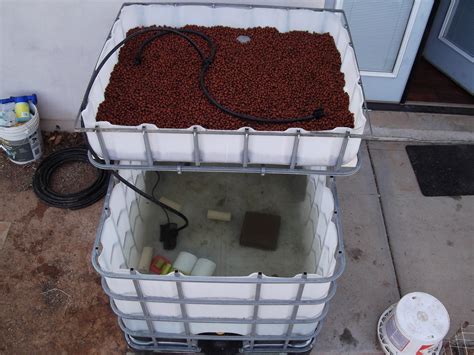 Aqua Tanks Next Ibc Aquaponic Setups