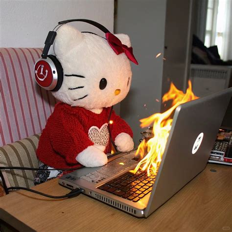 Hello Kitty Meme Em 2025 Coisas Da Hello Kitty Hello Kitty Frases E Imagens Engraçadas