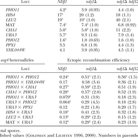 Recombination Frequencies And Efficiencies Of Ectopic Recombination In