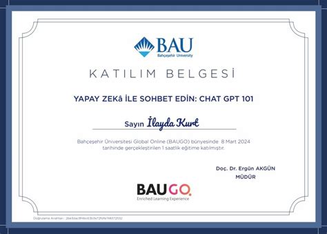 İlayda Kurt Posted On Linkedin