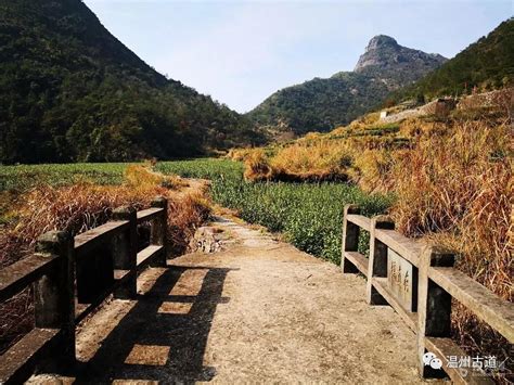 永嘉县乌牛镇西岙村永嘉县乌牛镇中学大山谷图库
