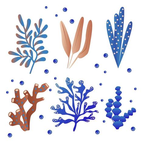 Ocean Plants Vector Art Icons And Graphics For Free Download