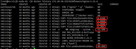 Docker Commit其实是干了这些事情？ Zhaidavid 博客园