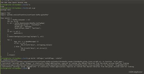 Go语言的静态链接与动态链接go 静态链接 Csdn博客