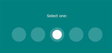 Custom Radio Button 25 Input Radio Button New Examples