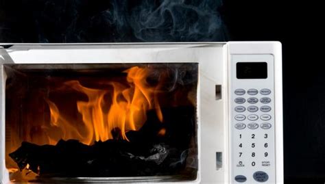 Cuidado cosas que jamás debes meter al microondas MISCELANEA