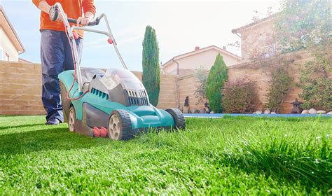 The Advantages And Disadvantages Of Mowing High Or Mowing Low Simple
