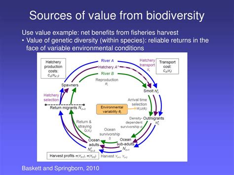 Ppt The Economics Of Biodiversity Powerpoint Presentation Free Download Id4460883