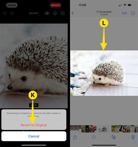How To Crop Photos On IPhone 15 14 Using Photos App In 2 Ways