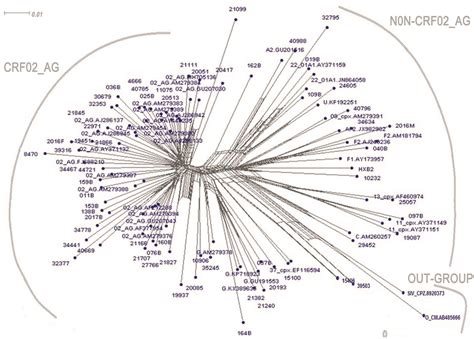 Hiv 1 Drug Resistance And Genetic Diversity Among Vertically Infected