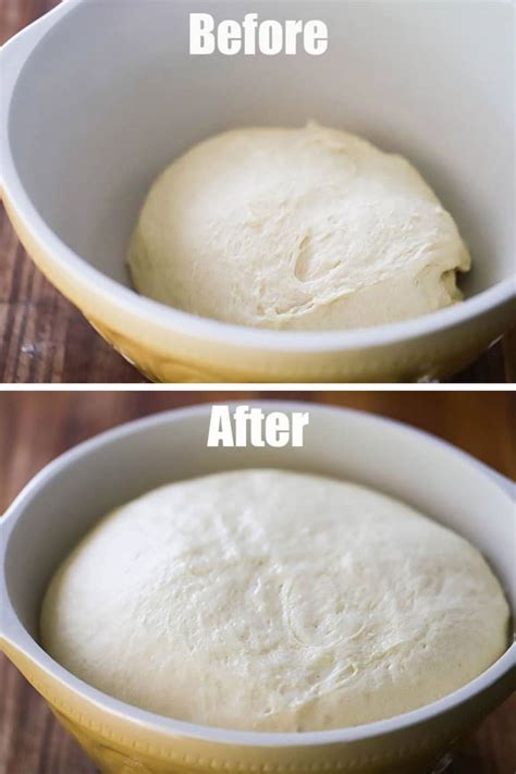 Homemade Hamburger Buns With Video How To Feed A Loon