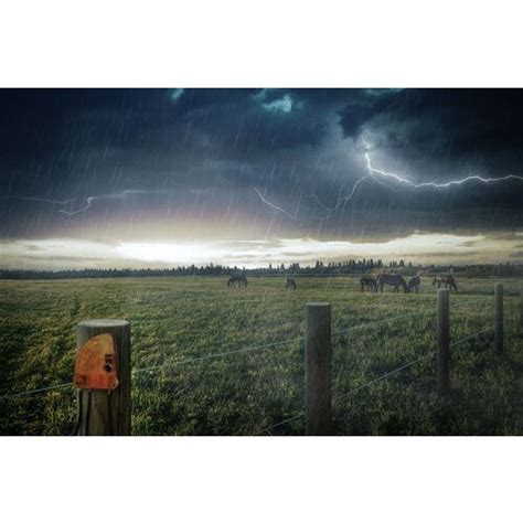 Gallagher Lightning Diverter Electric Fence