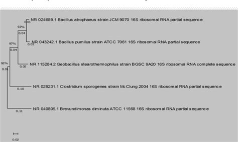 Figure 2 From In Silico Analysis Of Bacillus Stearothermophilus As A Bioindicator For
