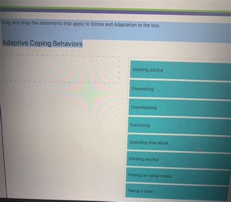 Solved Drag And Drop The Statements That Apply To Stress And