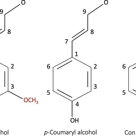 The Monomer Species Building Up A Lignin Molecule A P Coumaryl