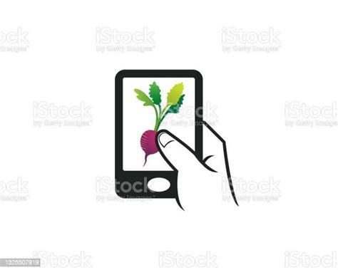 유기농 식품 야채 사탕무 과일 회사에 대한 휴대 전화 터치 애플 리케이션 아이콘 Brand Name Smart Phone에 대한