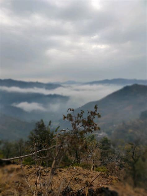 Mandeep Chauhan On Linkedin India