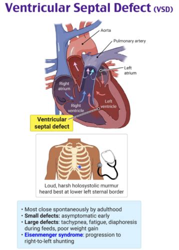 Peds E2 PQs Flashcards Quizlet