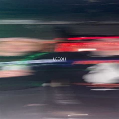 VINNYONFIRE Leech Lyrics Genius Lyrics