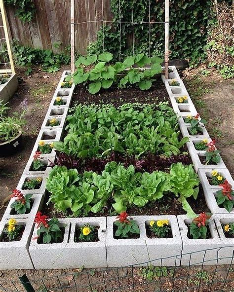 👈 Como Construir Sua Horta Orgânica ☘🌱🌷🌸🌼🍑🍒🌶🍅🍆 O Que Acharam 😍👉