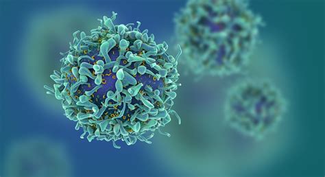 Sipuleucel T Survival Benefit Greater In Blacks Renal And Urology News