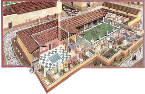 Domus Cross Section Roman Villa Roman Architecture Roman House