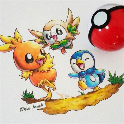 Trio Starter Birds Pokémon Amino
