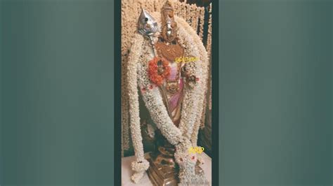 பன்னிரு விழிகளில் பரிவுடன் ஒரு விழியில் எனை நீ பார்த்தாலே போதும்