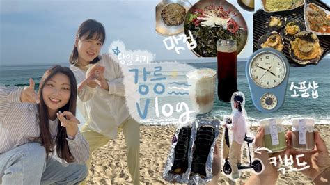 당일치기 강릉여행vlog 뚜벅이 전기자전거 장착하고 소품샵 뿌시기 ‍🔥환장의 하루코스 강릉김밥두딩레드망치사유의