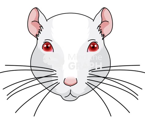 Free Rat Face Front Icons Symbols Pictures And Images Mind The Graph