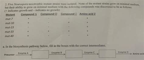 Answered 2 Five Neurospora Auxotrophic Mutant Strains Were Isolated