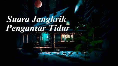 Musik Relaksasi Suara Jangkrik Pengantar Tidur Silent Night YouTube
