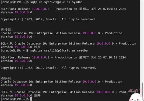 Oracle19c Adg搭建oracle 19c Adg搭建详细步骤 Csdn博客